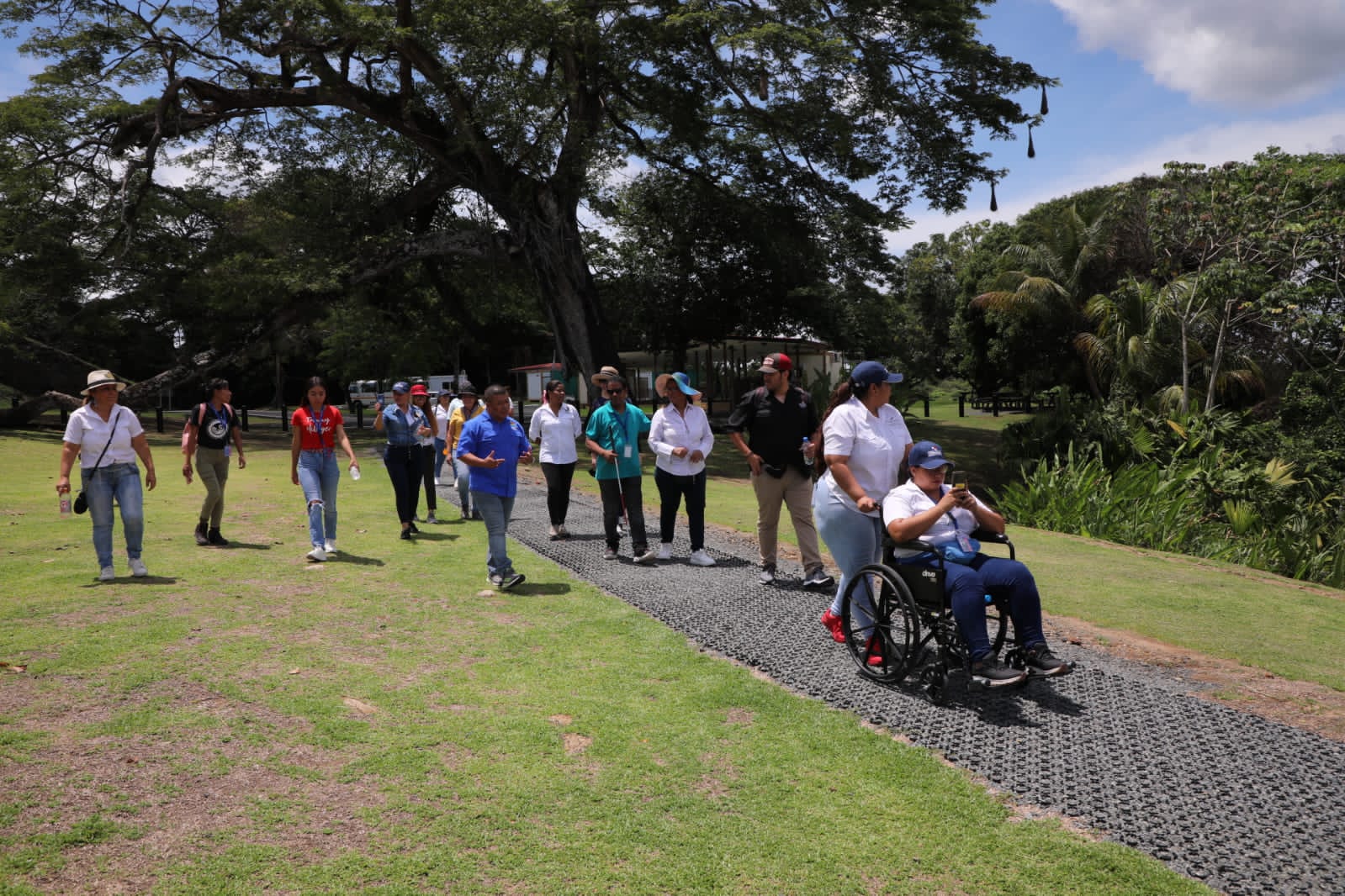 MICULTURA IMPLEMENTA PROGRAMAS Y PROYECTOS PARA LA INCLUSIÓN DE ...